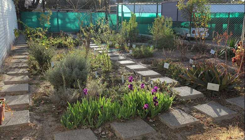 El apasionante e importante mundo de la botánica - Universidades Hoy