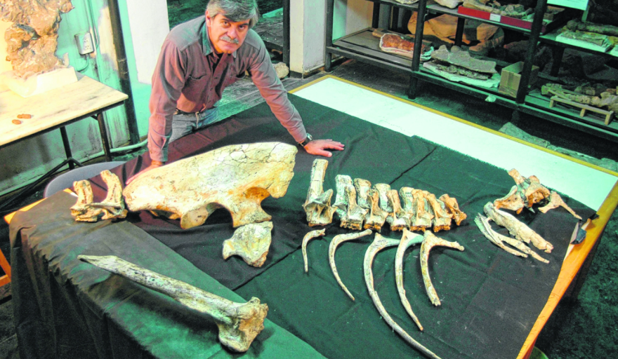 Rodolfo Coria: "La paleontología ha traído prestigio académico al país ...